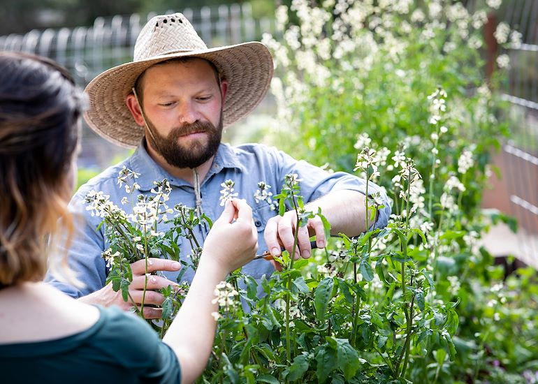 5 Creatures for Gorgeous Gardens and Healthier Habitats