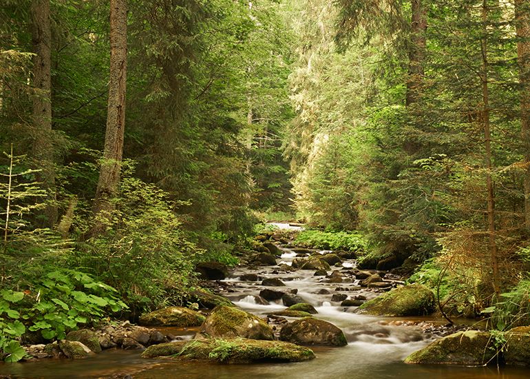 Living A Hybrid Life