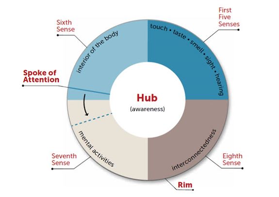 Dan Siegel - 1440 Multiversity Global Impact Stories